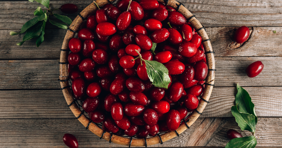 Cranberry Nedir? Ne İşe Yarar? Faydaları Nelerdir? - Özel Beslenme
