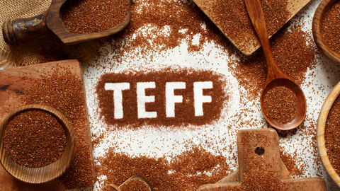 Teff Nedir? Teff Tohumu Faydaları Nelerdir? – Özel Beslenme